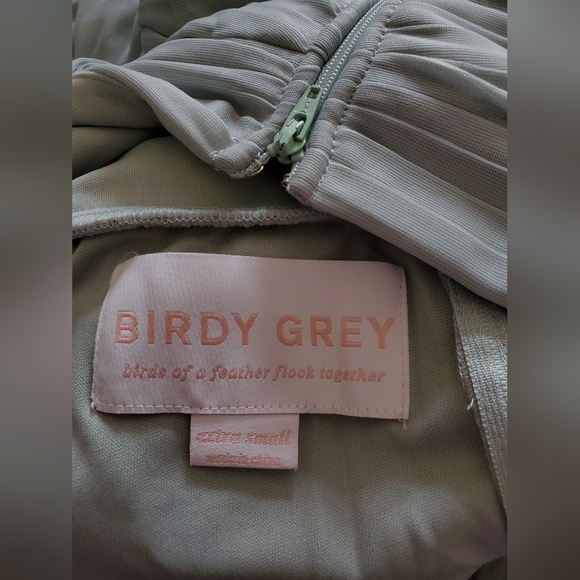 Birdy Grey | Dresses | Birdy Grey Nwt Elsye Maxi Dress In Mesh Sage ...